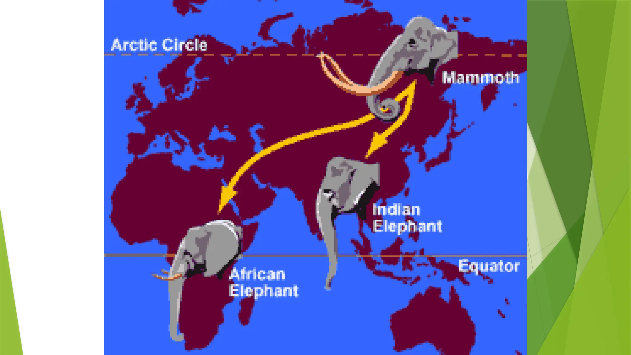 DEVELOPMENT OF EVOLUTIONARY THOUGHT.pptx