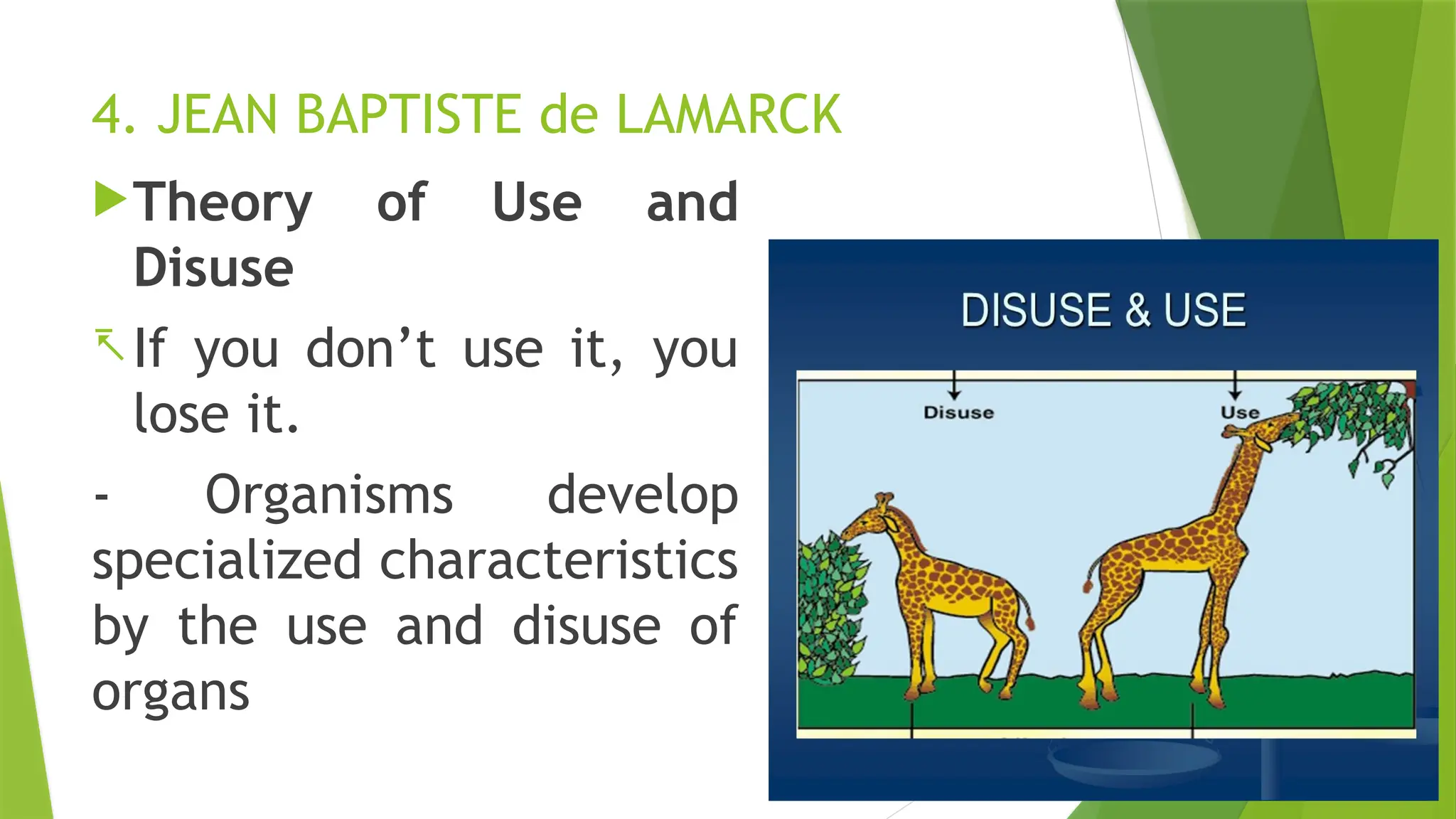 DEVELOPMENT OF EVOLUTIONARY THOUGHT.pptx