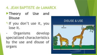 DEVELOPMENT OF EVOLUTIONARY THOUGHT.pptx