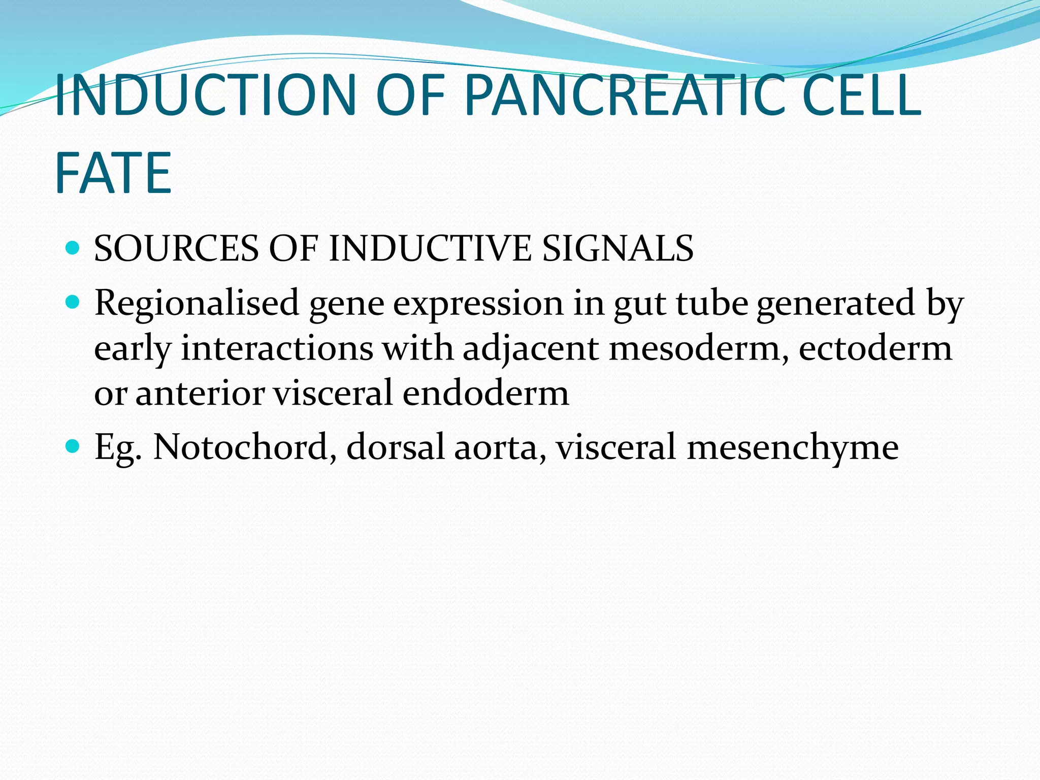 DEVELOPMENT OF EXOCRINE PANCREAS | PPT