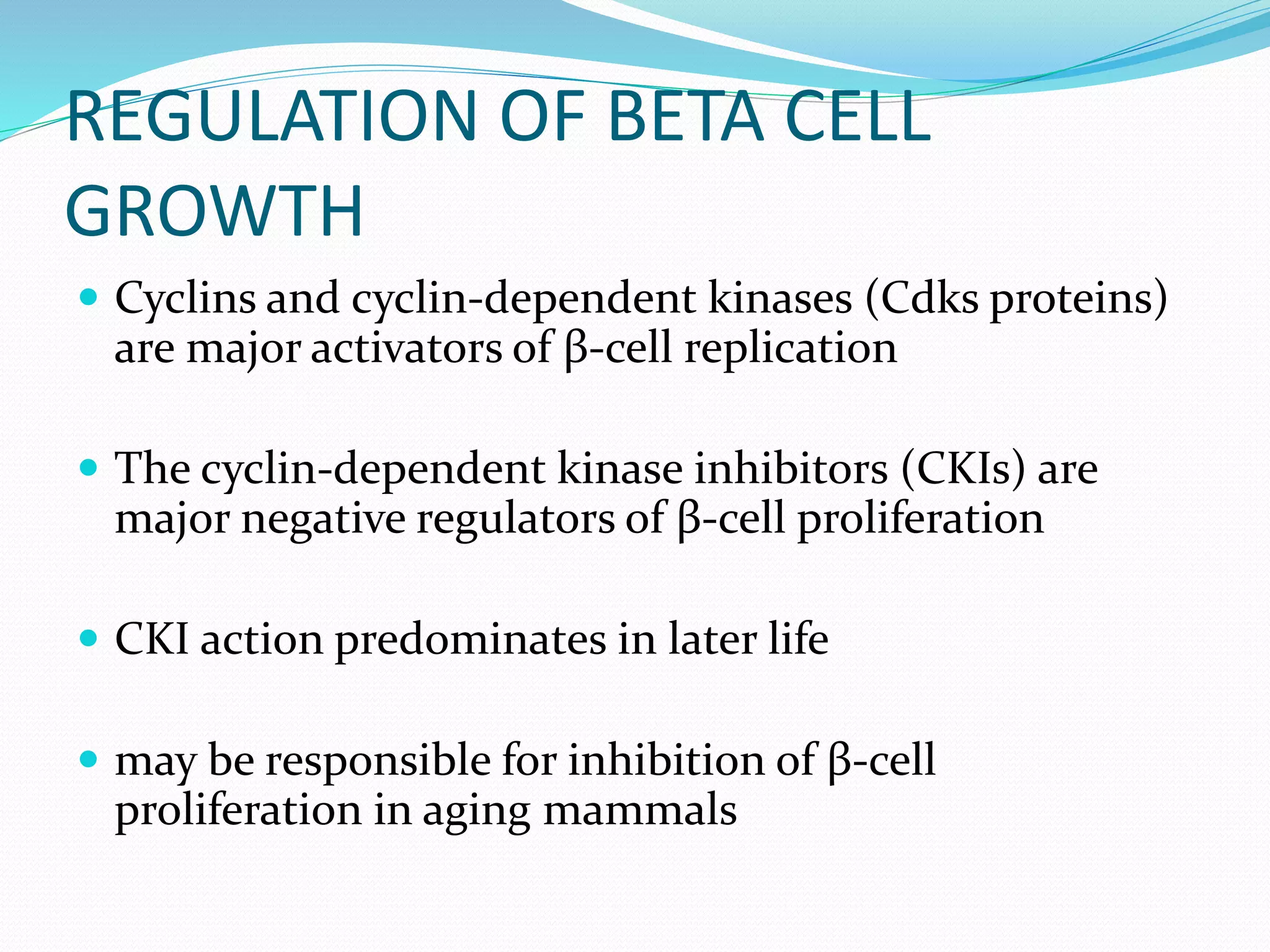 DEVELOPMENT OF EXOCRINE PANCREAS | PPT