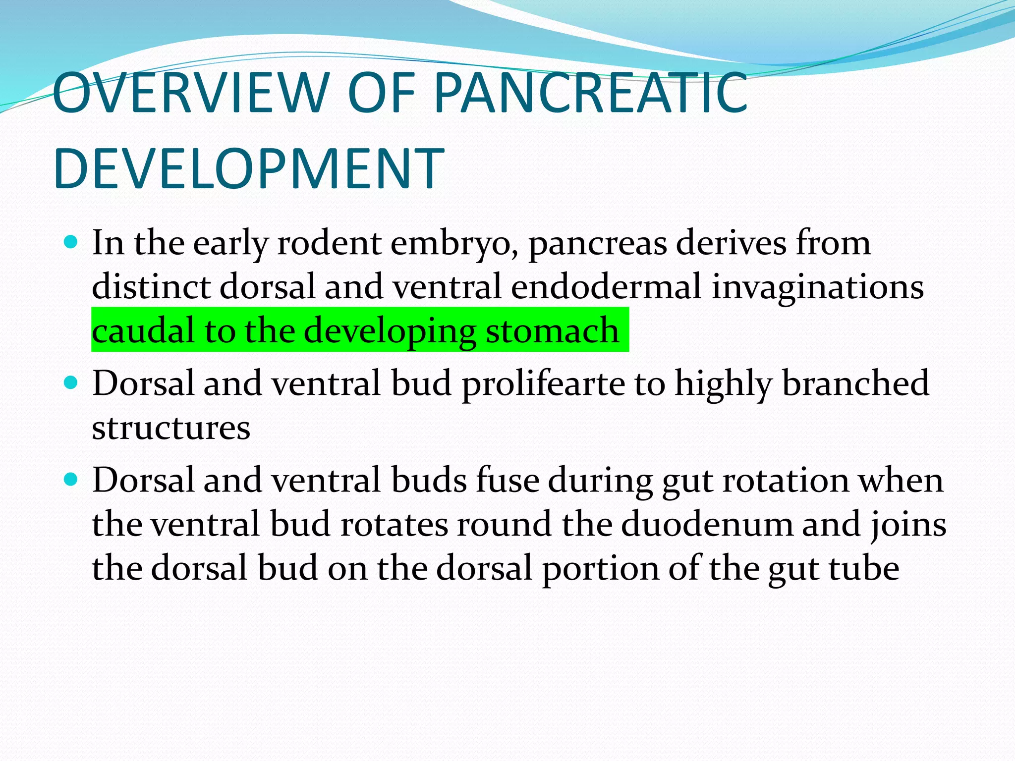 DEVELOPMENT OF EXOCRINE PANCREAS | PPTX
