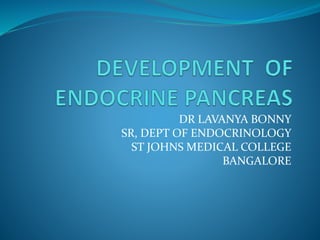 DEVELOPMENT OF EXOCRINE PANCREAS | PPTX
