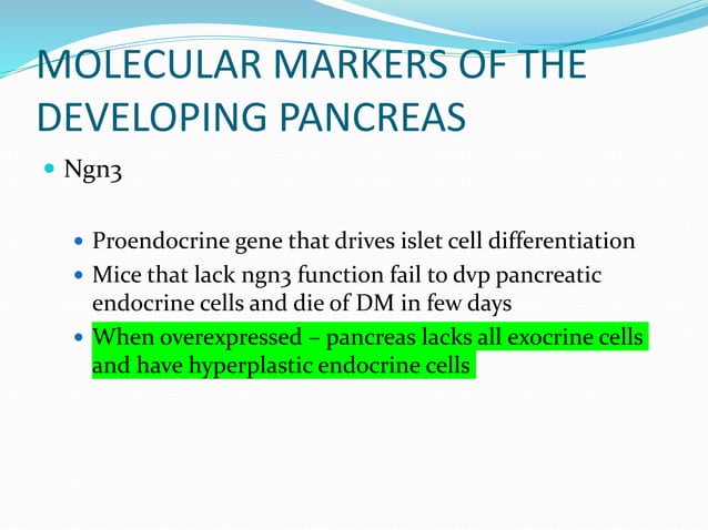 DEVELOPMENT OF EXOCRINE PANCREAS | PPT