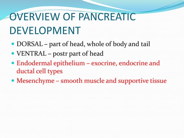 DEVELOPMENT OF EXOCRINE PANCREAS | PPT