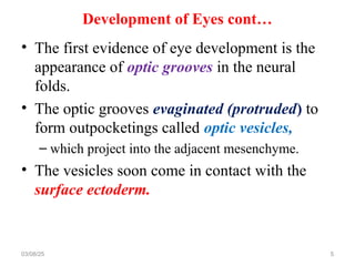 Embryological Development of eye eye.ppt