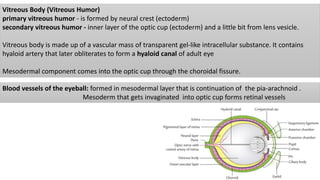 Development of eye | PPTX