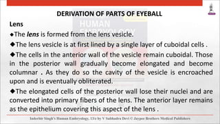 Embrylogy of Head & Neck-Development of eye1.pptx