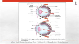 Embrylogy of Head & Neck-Development of eye1.pptx