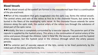Embrylogy of Head & Neck-Development of eye1.pptx
