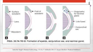 Embrylogy of Head & Neck-Development of eye1.pptx