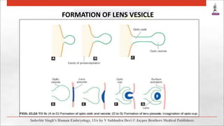 Embrylogy of Head & Neck-Development of eye1.pptx