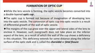 Embrylogy of Head & Neck-Development of eye1.pptx