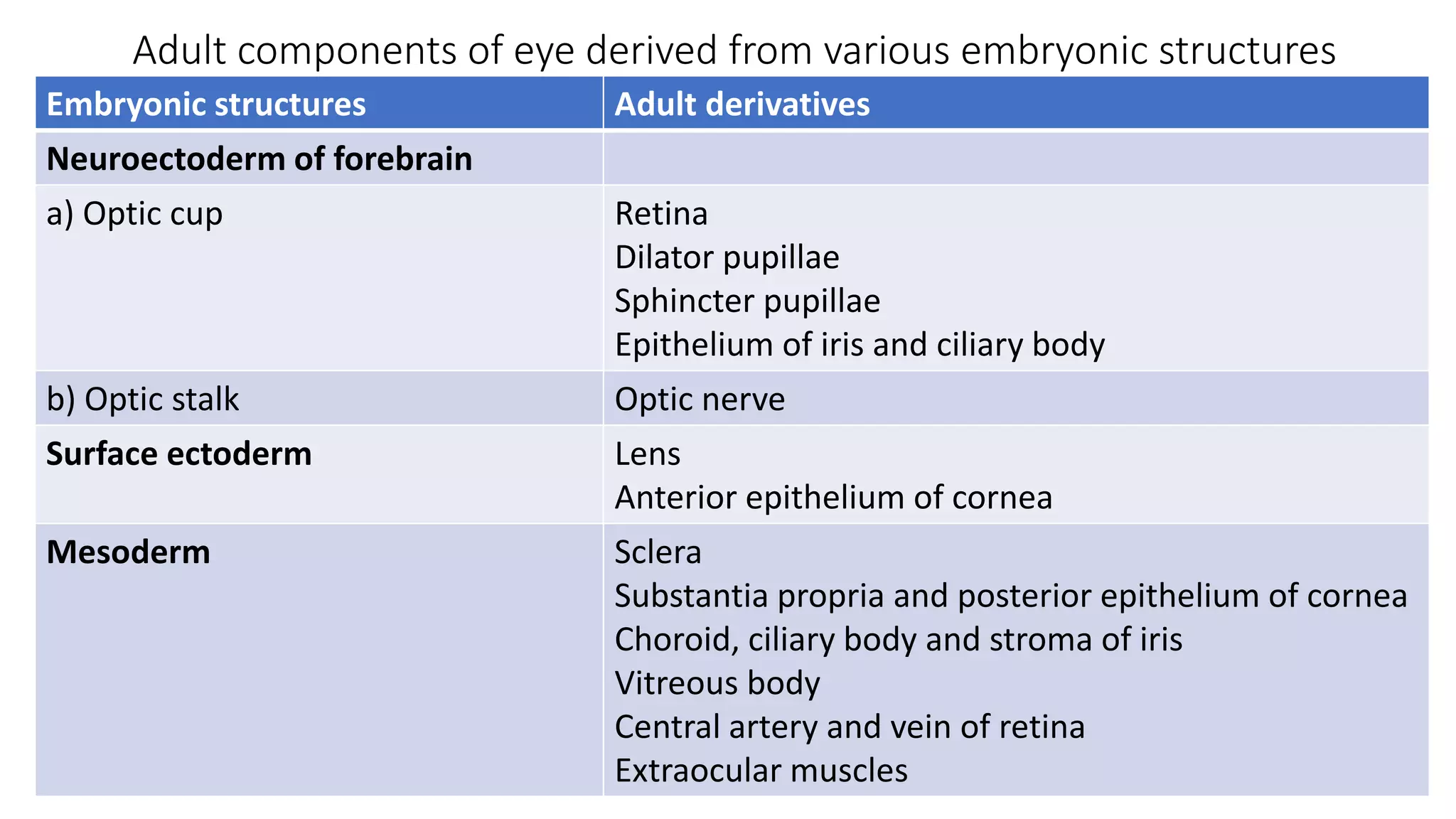Development of Eye and Ear.pptx
