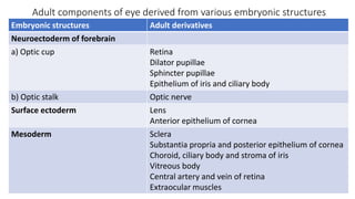 Development of Eye and Ear.pptx