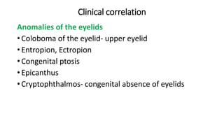 Development of Eye and Ear.pptx