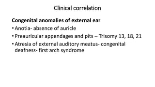 Development of Eye and Ear.pptx