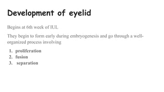 Development of a normal human Eyelid.pptx