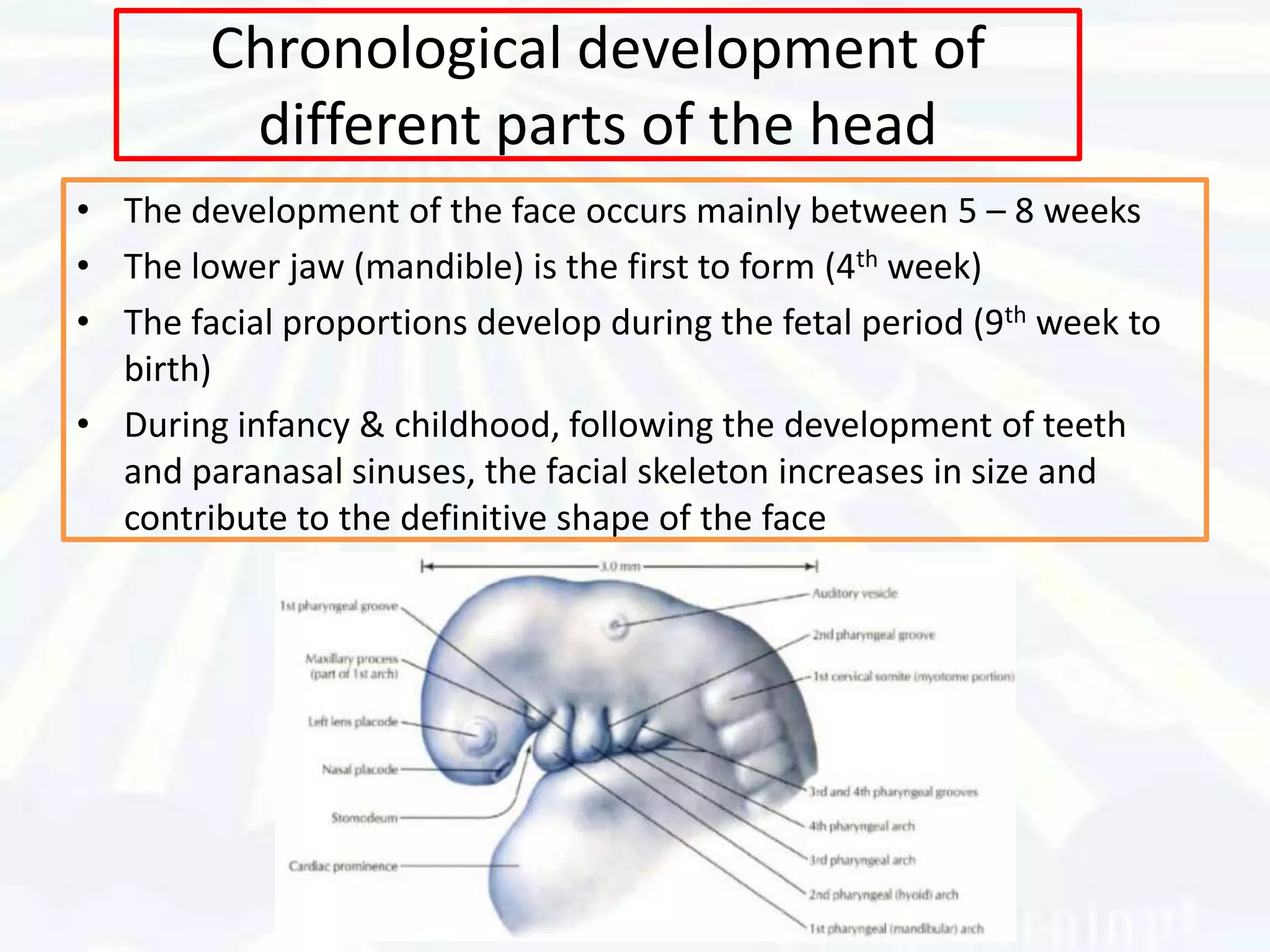 Development of face | PPTX