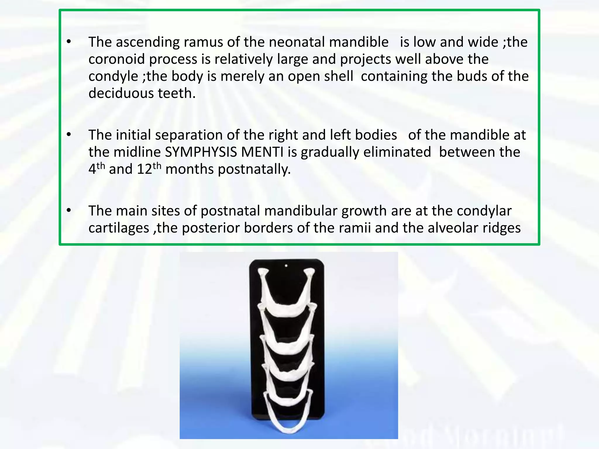 Development of face | PPTX