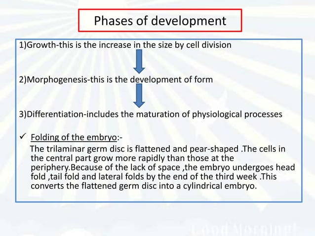 Development of face | PPTX