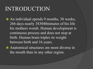 Development of face | PPTX