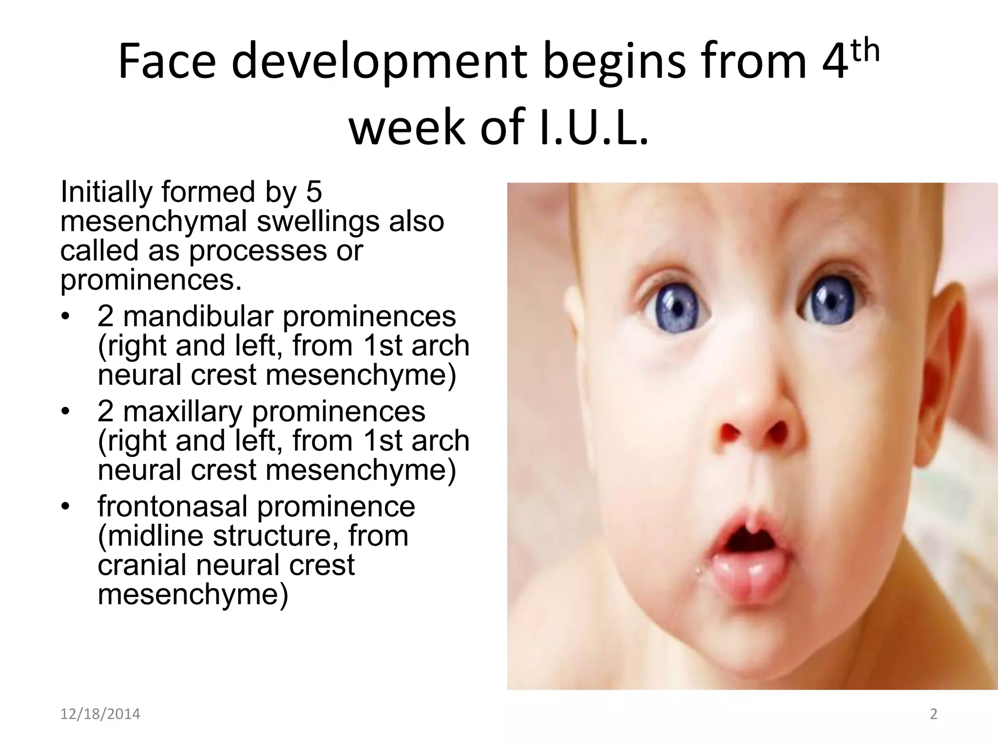 Development of face | PPTX
