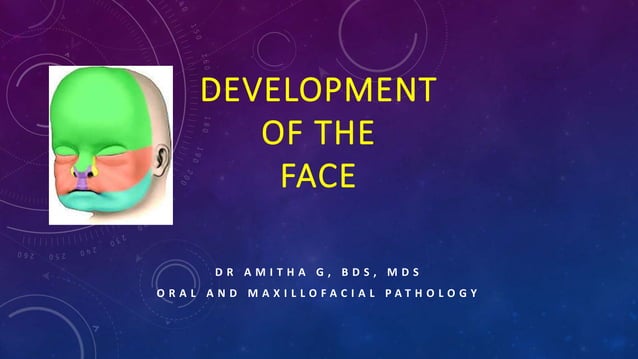 Development of Face | PPTX | Ear, Nose and Throat Conditions | Diseases ...