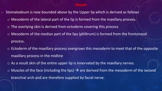 Development of Face | PPTX