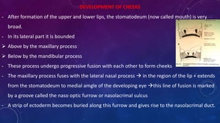 Development of Face | PPTX