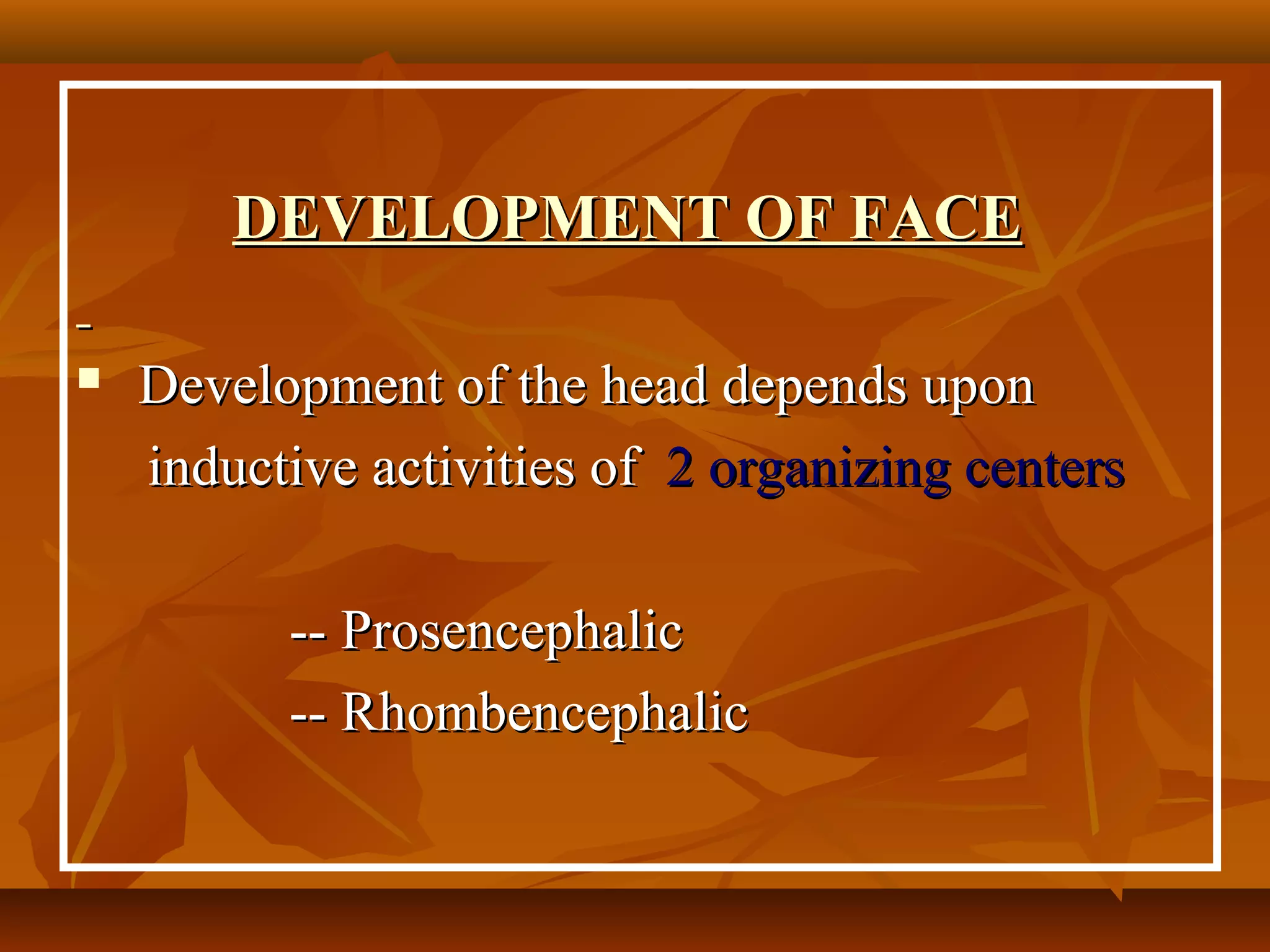 Development of face | PPT