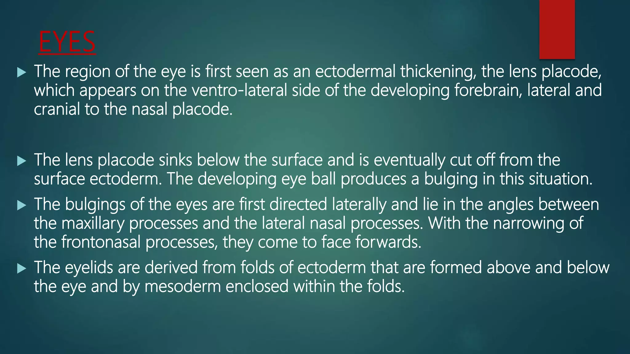 Development of face | PPTX