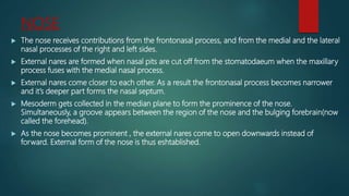 Development of face | PPTX