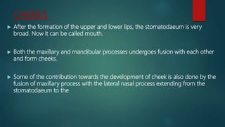 Development of face | PPTX