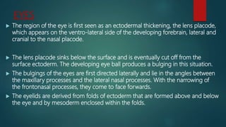 Development of face | PPTX