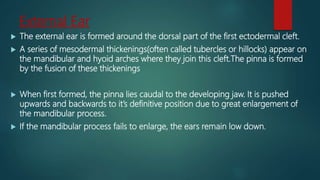 Development of face | PPTX