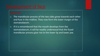 Development of face | PPTX