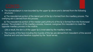 Development of face | PPTX