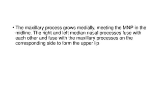 Oral Embryology - The Development of Face | PPTX