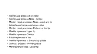 Oral Embryology - The Development of Face | PPTX