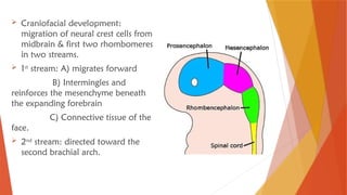 Development of face AND PARTS OF FACE .pptx