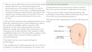 Development Of Face by Dr.Tejas K Gowda post grad student | PPTX