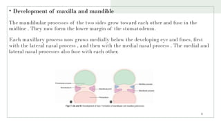 Development Of Face by Dr.Tejas K Gowda post grad student | PPTX