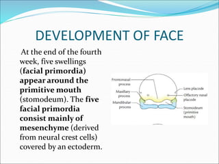 DEVELOPMENT OF FACE AND CONGENITAL MALFORMATIONS.ppt