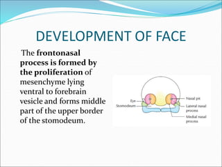 DEVELOPMENT OF FACE AND CONGENITAL MALFORMATIONS.ppt