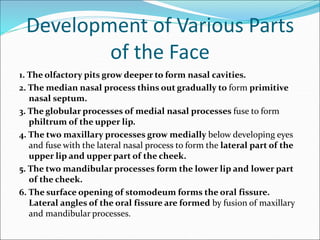 DEVELOPMENT OF FACE AND CONGENITAL MALFORMATIONS.ppt