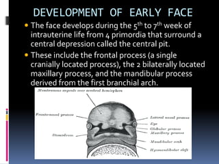Development of face and oral cavity* | PPTX