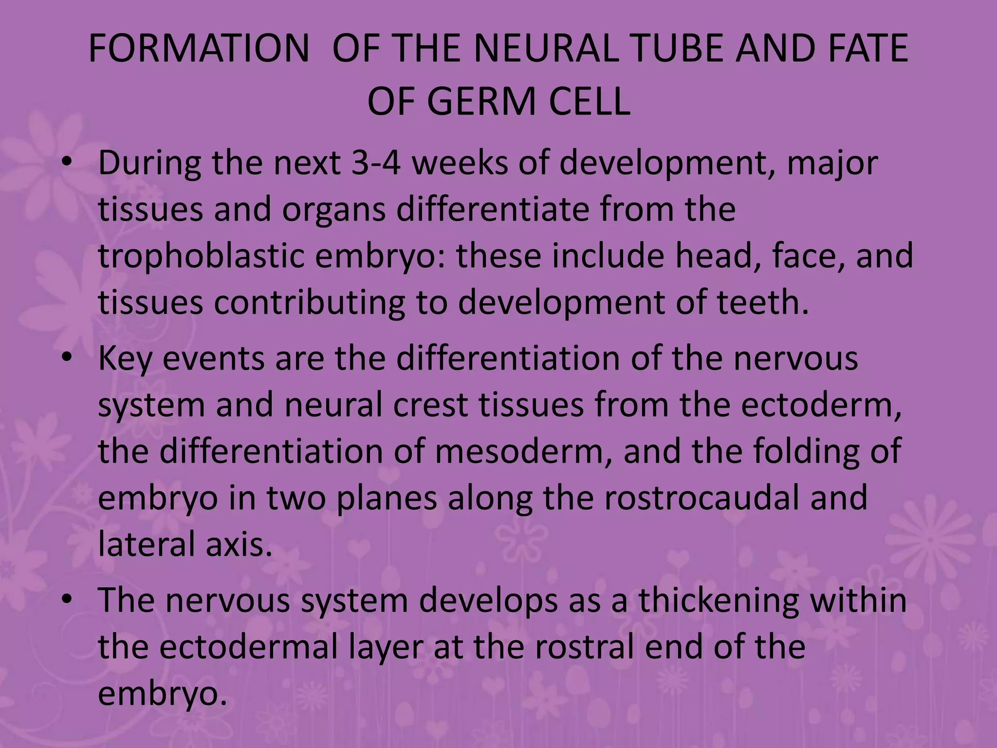 DEVELOPMENT OF FACE AND ORAL CAVITY | PPTX