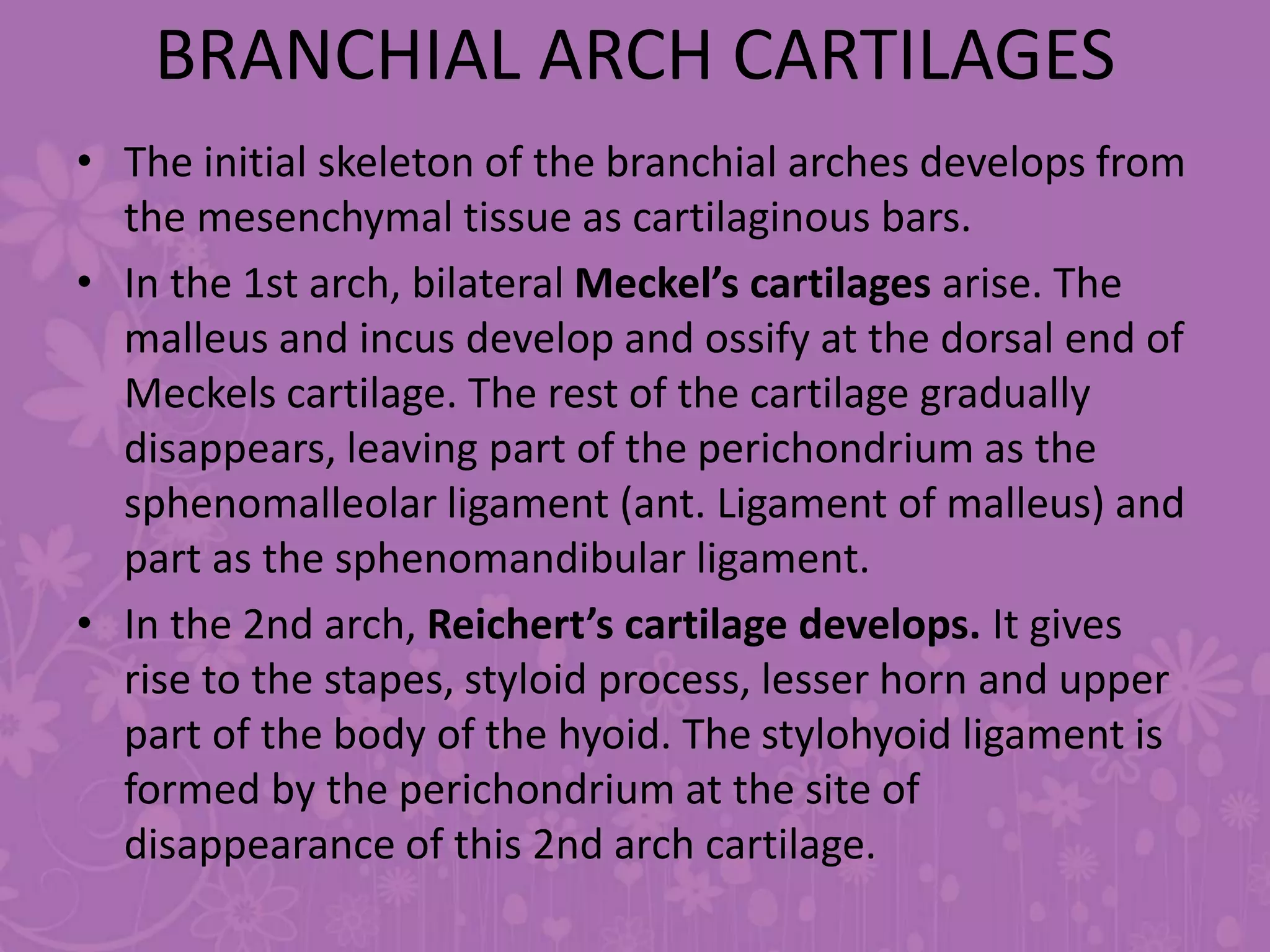 DEVELOPMENT OF FACE AND ORAL CAVITY | PPTX