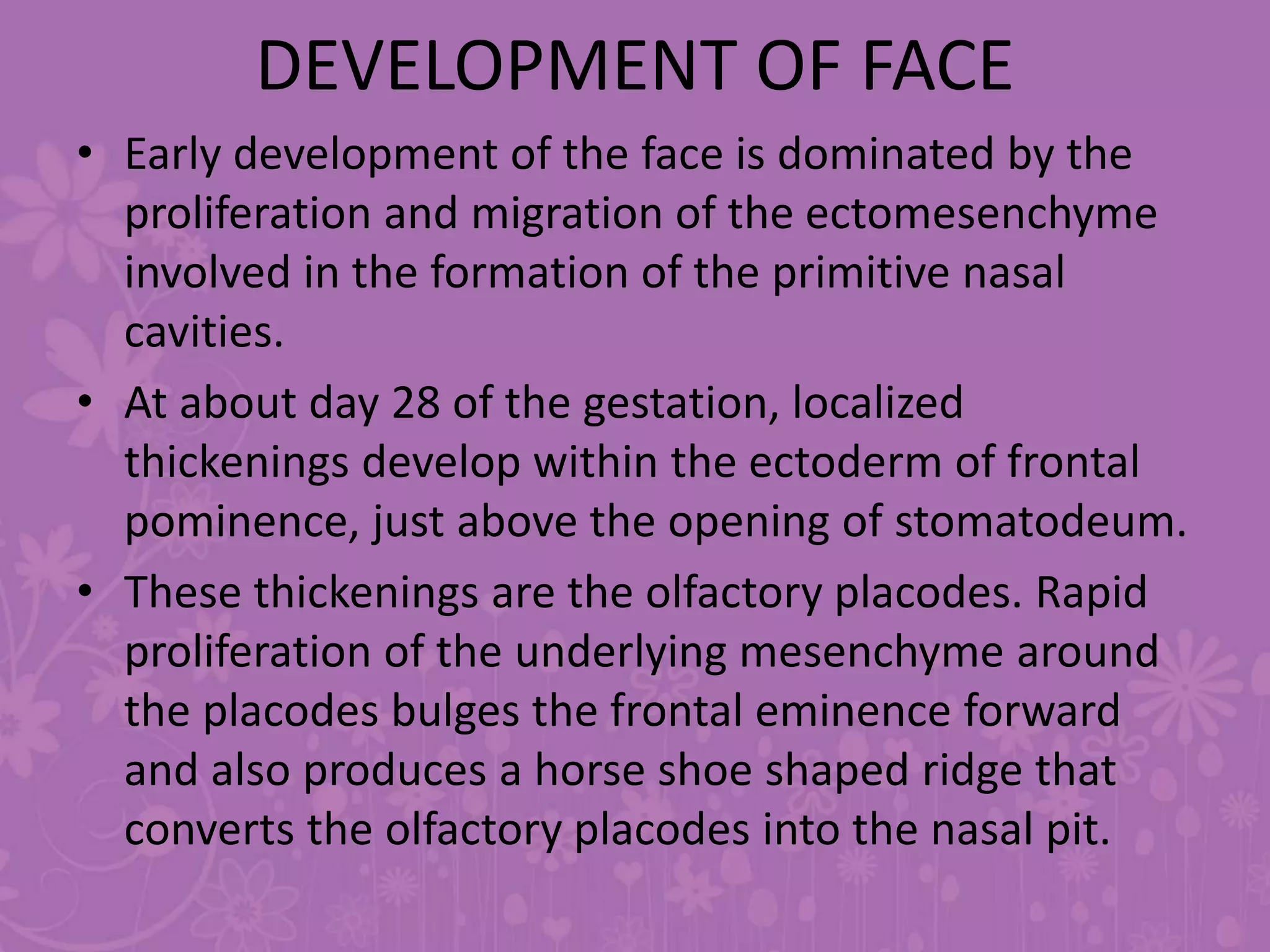 DEVELOPMENT OF FACE AND ORAL CAVITY | PPTX